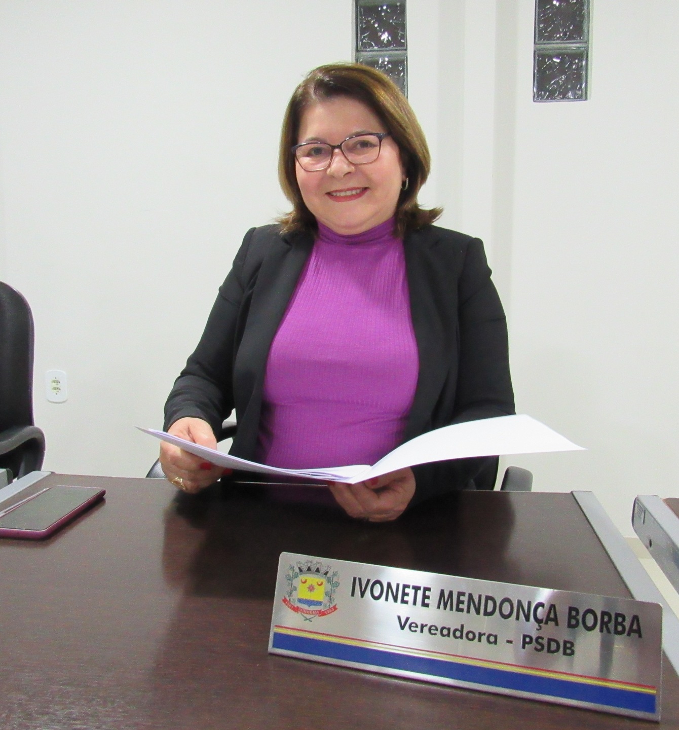 Ivonete reivindicou 300 mil para instalação de painéis de energia solar ...