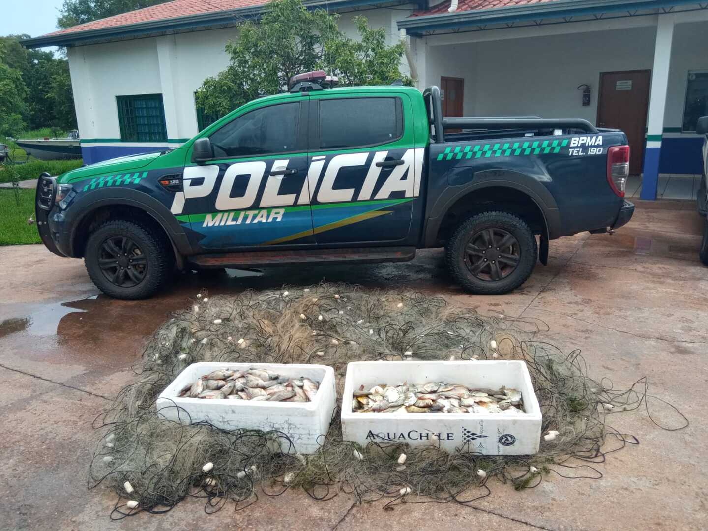Pma Faz Doação De 58 Kg De Peixes Para Instituições Filantrópicas