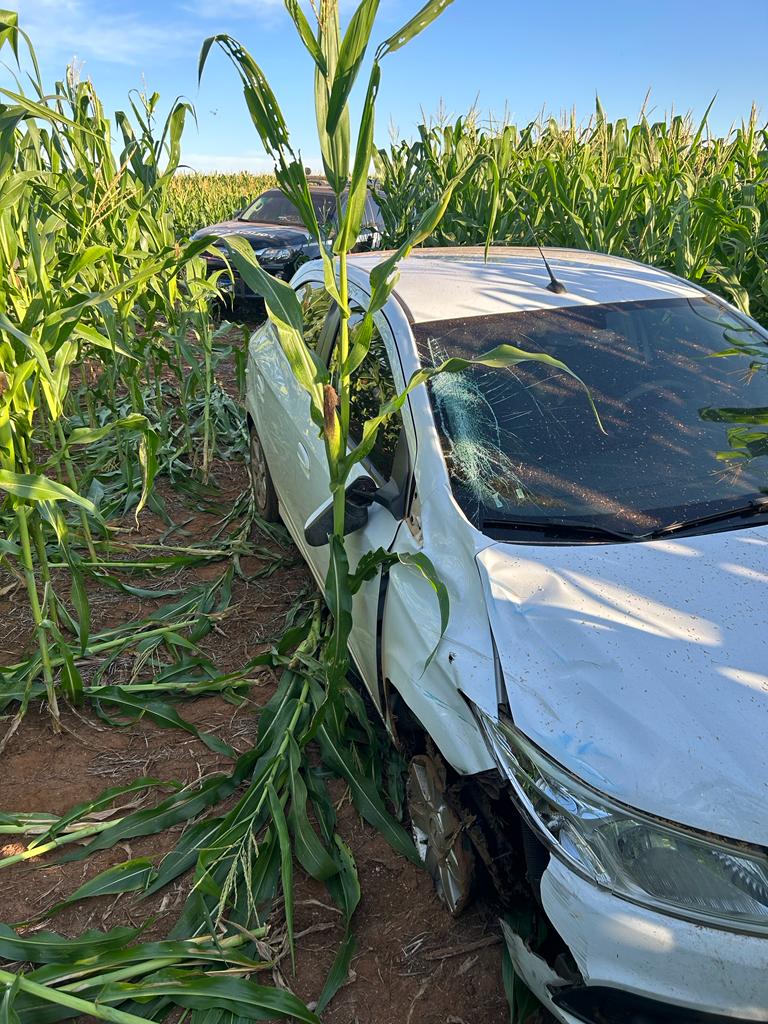 Polícia Civil identifica automóvel em acidente com vítima fatal na BR ... Polícia Civil identifica automóvel em acidente com vítima fatal na BR ...
